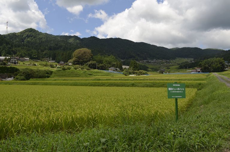 The NPO Ena city Sakaori Tanada preservation society ｜ Sakaori terraced ...